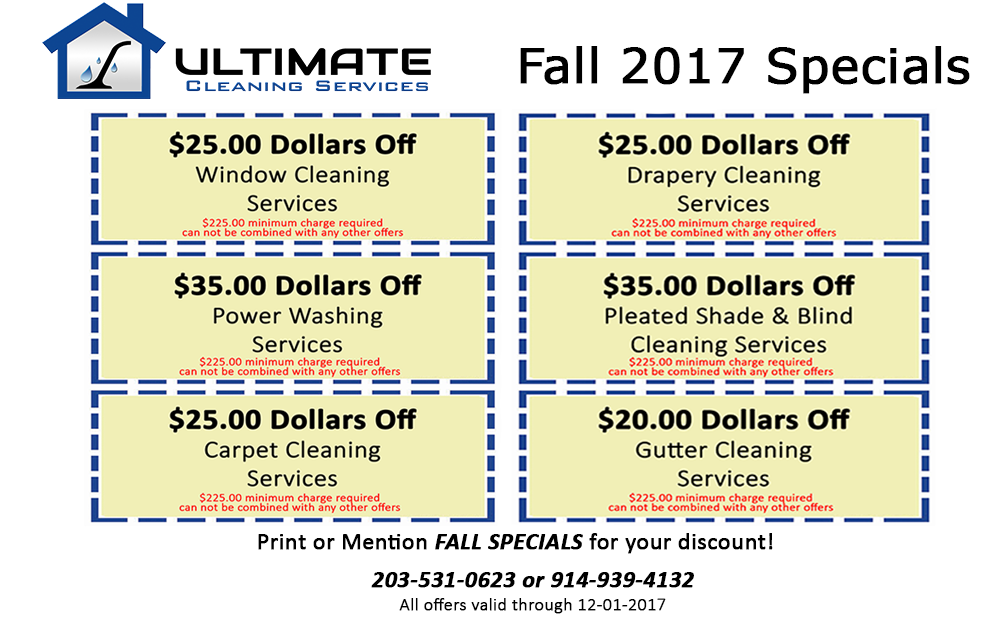 Ultimate Cleaning Service Download